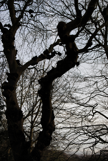 A walk through town and Avenham Park | hayleywoodin.com